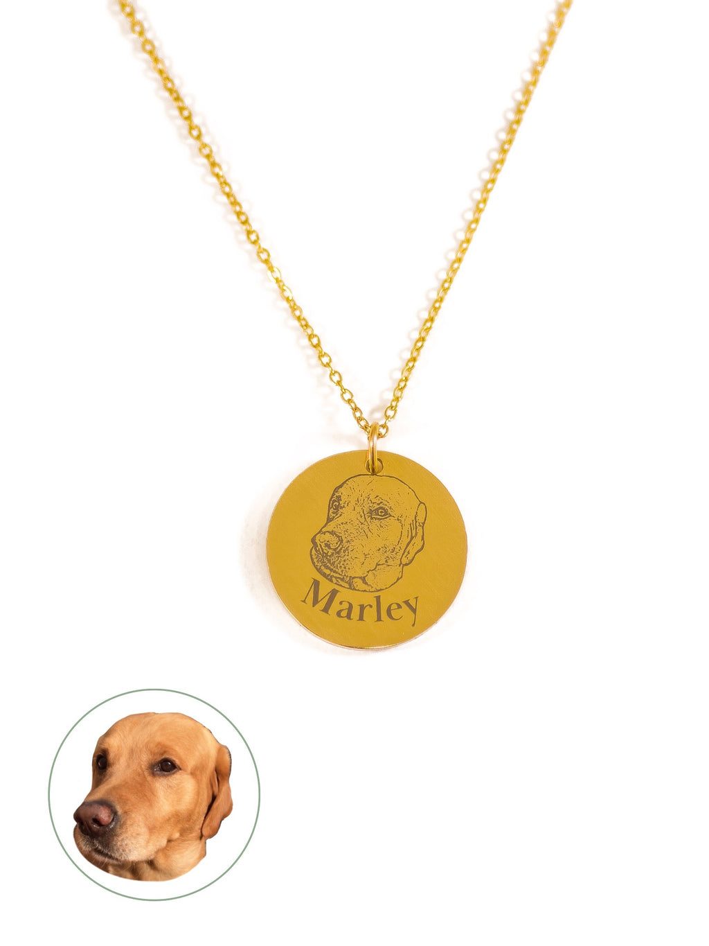 Collar Personalizado con Cara de Mascota – Stephanie Erbe